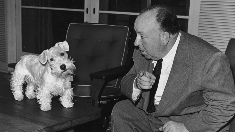 1000 Frames of Hitchcock – part 3 (Vertigo) | 1000 frames | The ...